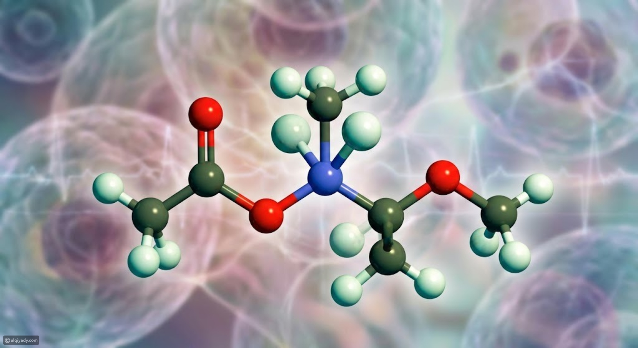 The brain’s bad-habit breaker has finally been found — and scientists ...