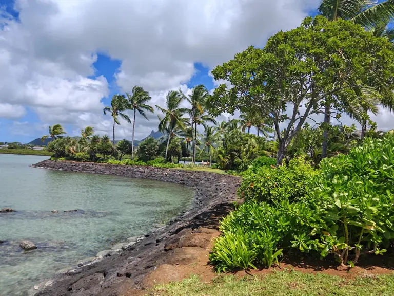 From floating breakfast to seagrass nursery, here's what a stay at Four ...