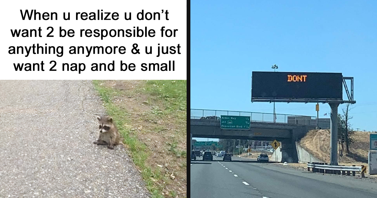 36 memes that capture the strange logic behind everyday thoughts