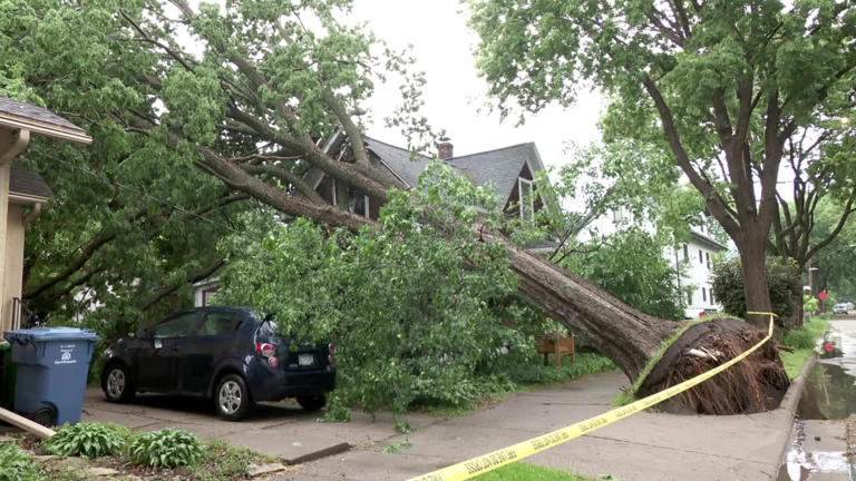 MN weather: Overnight storms topple trees, cause damage across Minnesota
