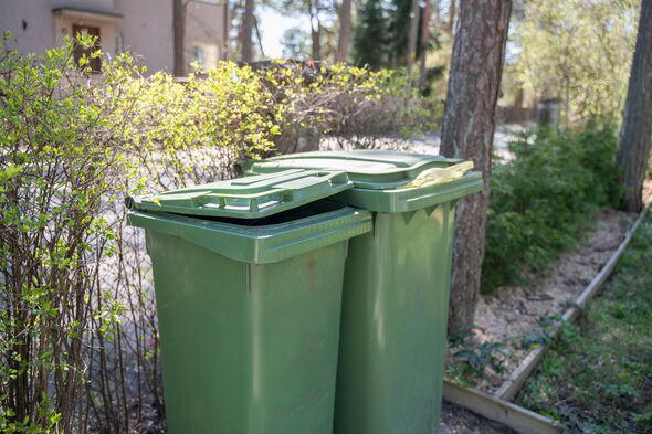 3 items you should never put in the bin if discovered in your garden