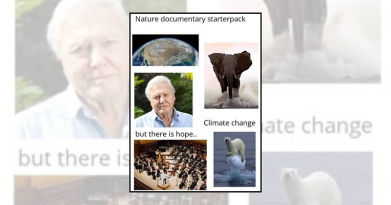 A collection of nature documentary memes featuring the behind-the ...