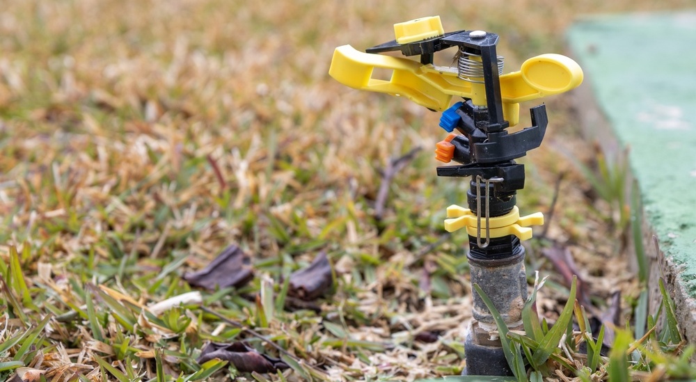 'It's not enough to keep the grass green': Water shortages may lead to ...
