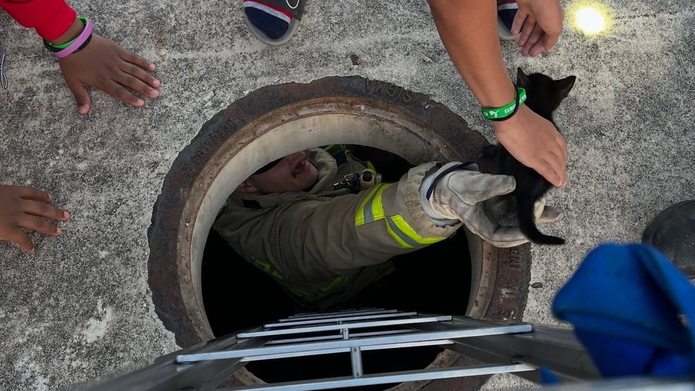 AFD firefighters rescue kitten from storm drain