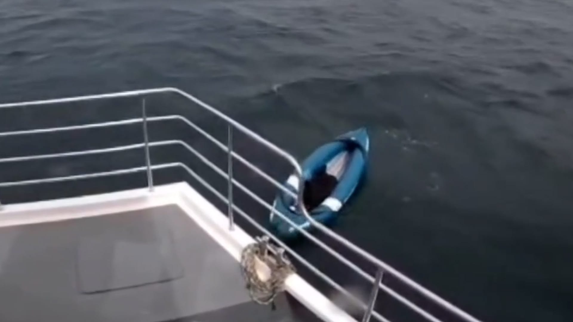Dog rescued at sea after kayak drifts off