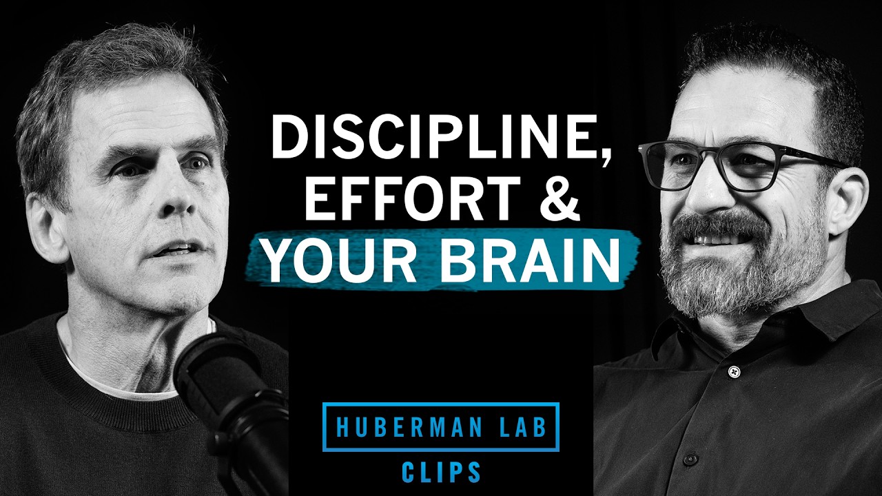 How discipline & effort improve your brain | Dr. Read Montague & Dr ...