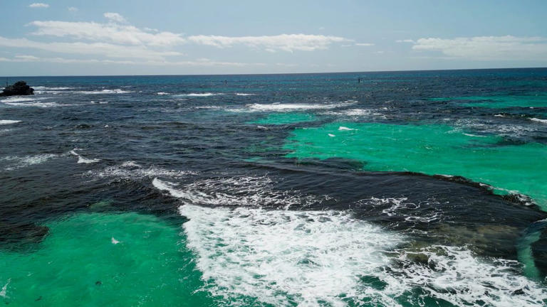 At the bottom of the Indian Ocean a deep sea robot discovered something ...