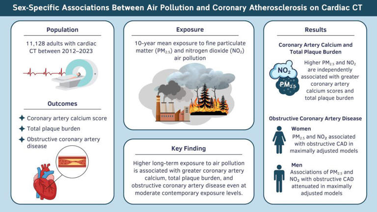 Even low levels of air pollution linked to hidden heart damage