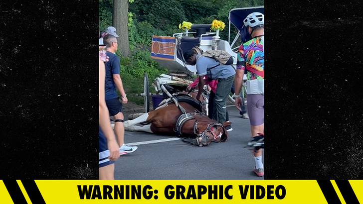 Teen dies after falling out of horse-drawn carriage in Central Park