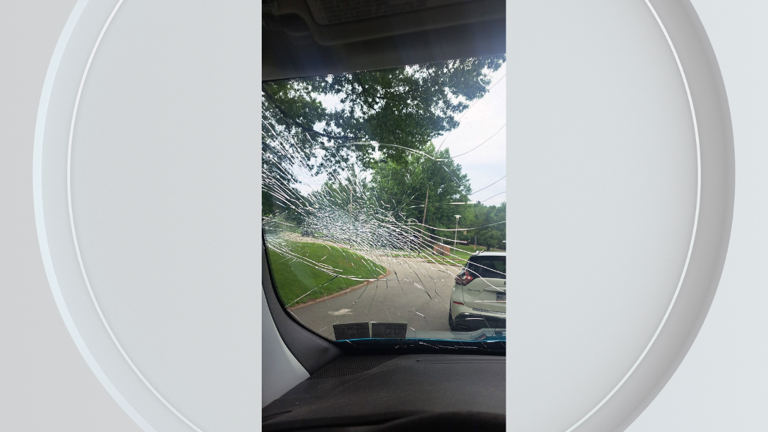 Pittsburgh area teens accused of causing property damage by throwing ...