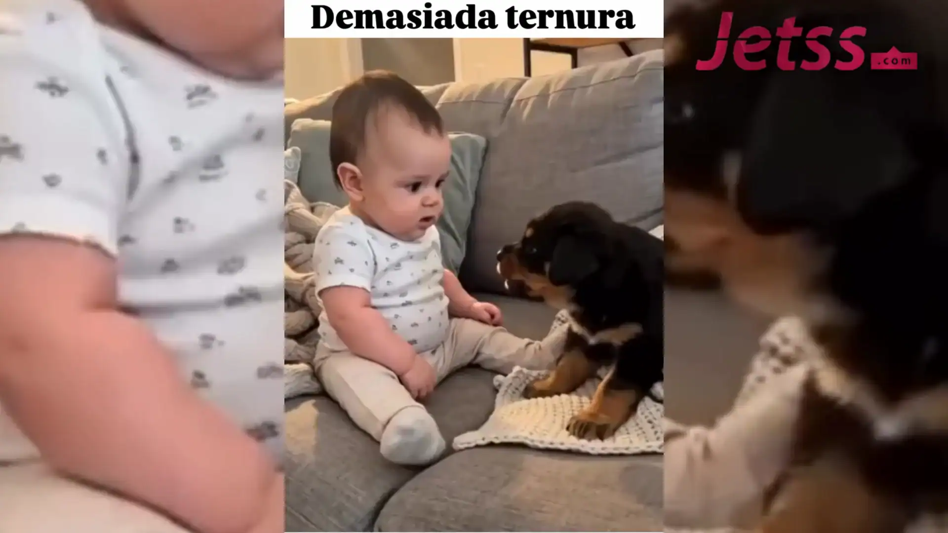 El tierno video de un bebé "discutiendo" con un cachorro de Rottweiler ...