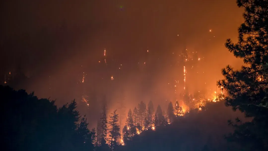 The 2 most wildfire-prone counties (and 5 surrounding areas ...