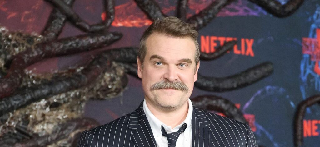 David Harbour Breaks Silence on Lilly Allen’s Album ‘West End Girl’
