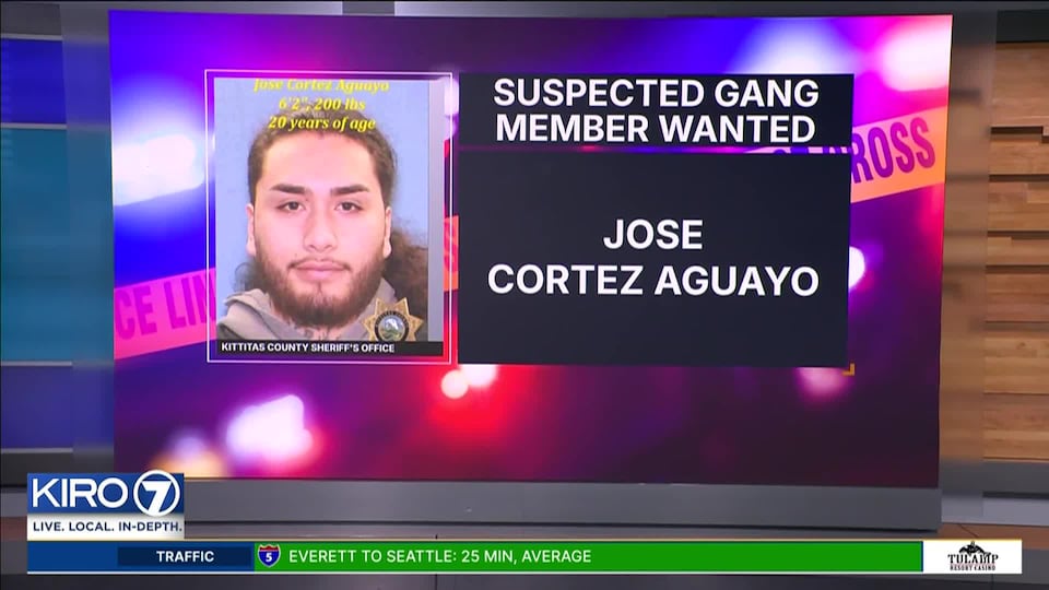 Video: Statewide search for suspected gang member