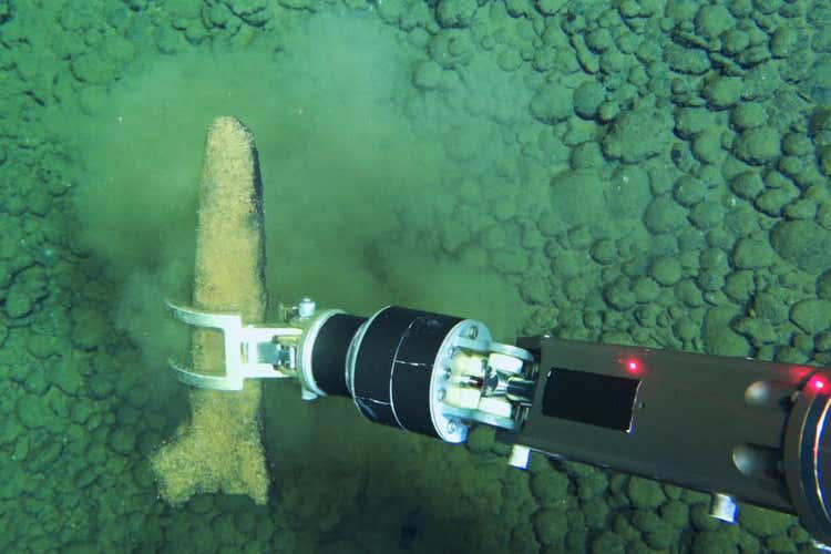 Millions of fossil whale bones found in deep-ocean 'necropolis'