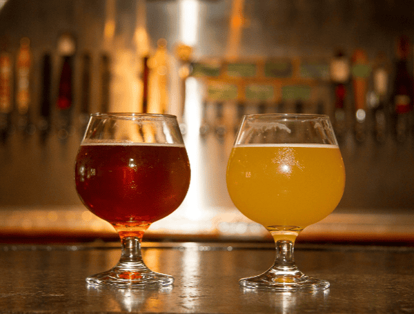 Homegrown hops pour fresh hope into Florida’s shrinking beer market