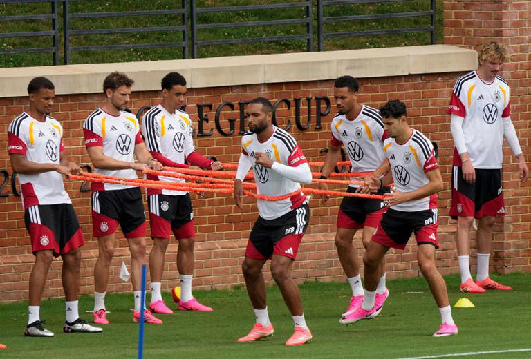 Soccer-Germany fly in groundskeeper Breuning to maintain World Cup ...