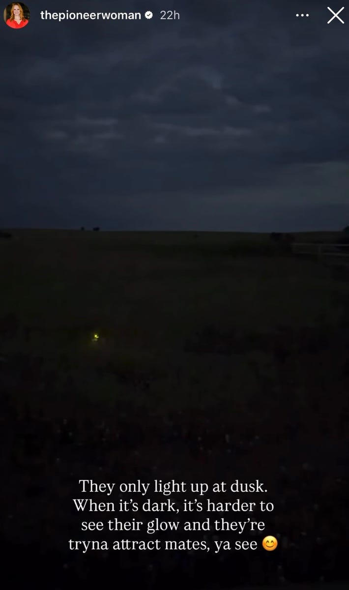 Make summer nights more magical with these firefly-spotting tips