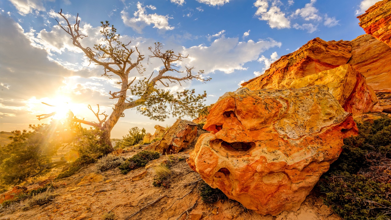 Deep in Wyoming’s sagebrush, a white sandstone castle hides hundreds of ...