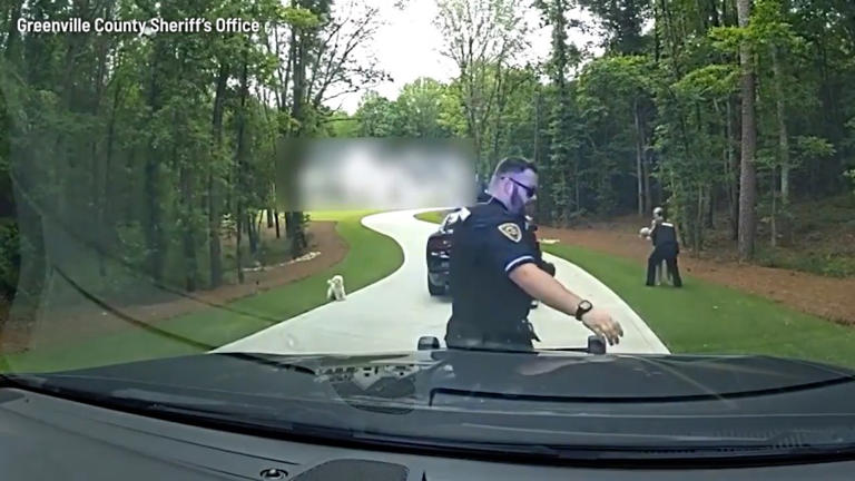 Greenville Co. deputies awarded after reviving infant who fell into pool
