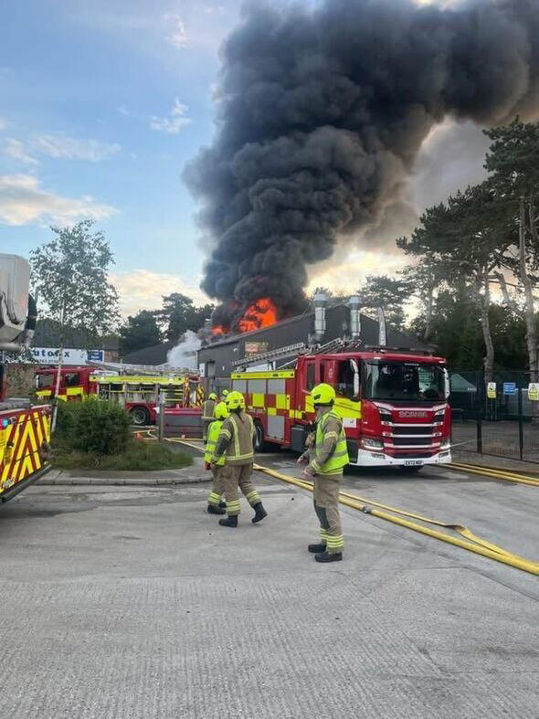 Horror fire at The Jungle Box mini-zoo as all animals inside building ...