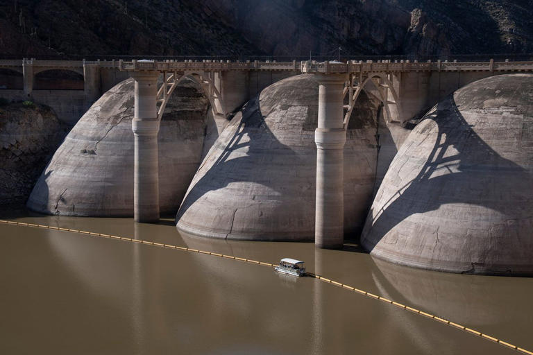 Arizona lake closes indefinitely after massive fish kill wipes out ...