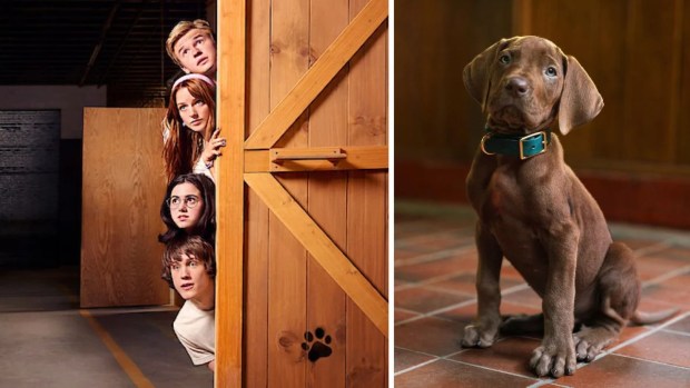 'Scooby-Doo: Origins' rounds out live-action cast at Netflix with Sara ...