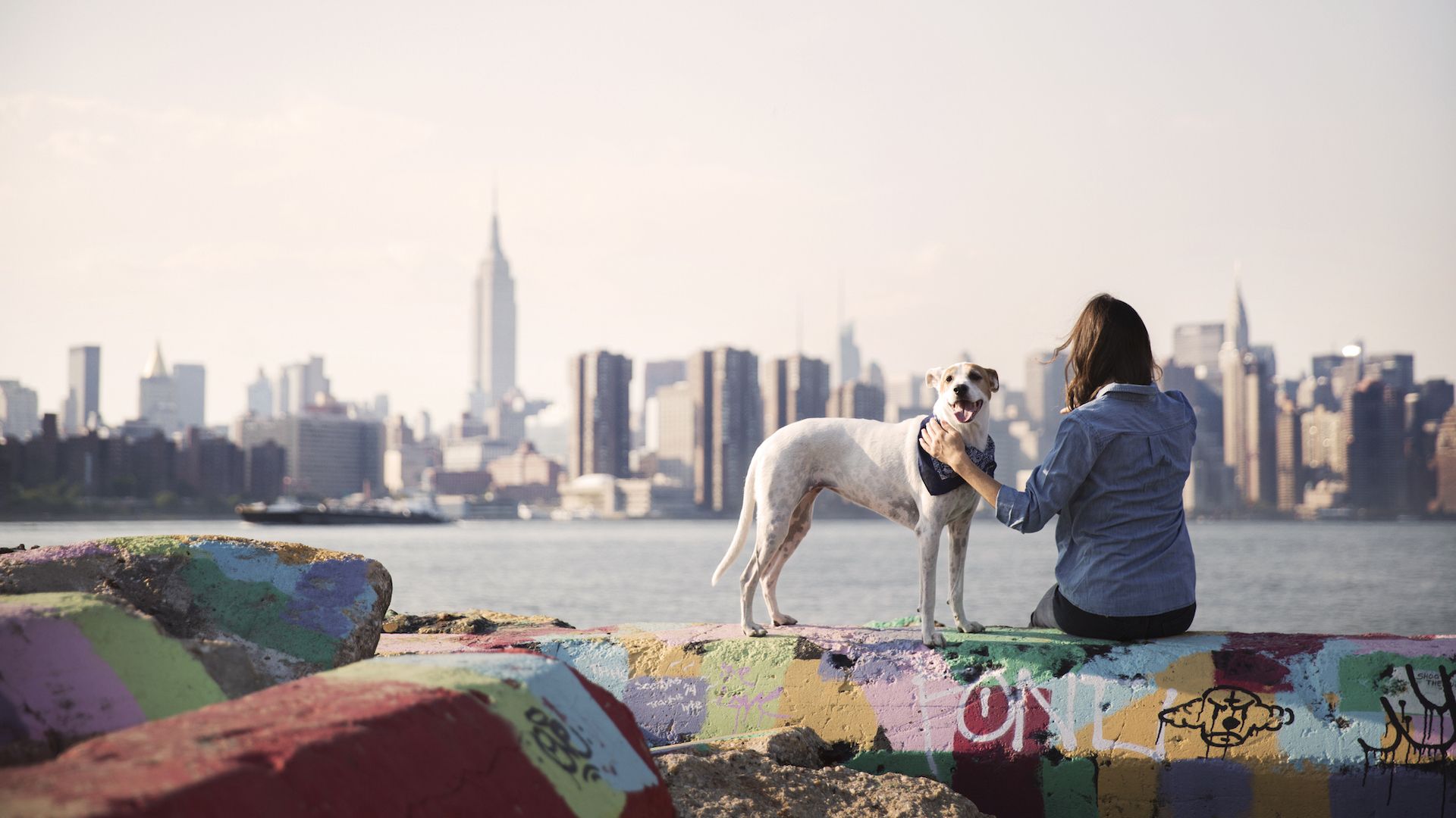 Top US cities to have a dog