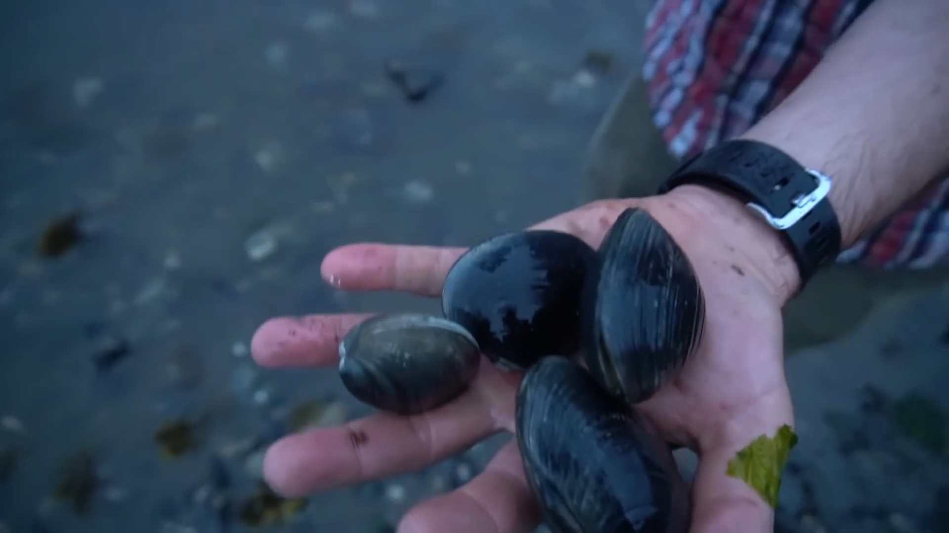 This Alaska fishing trip turned into a wild seafood feast