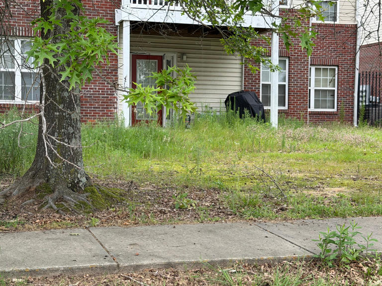 ‘A beautiful building, you’re letting it run down’: Albany residents ...