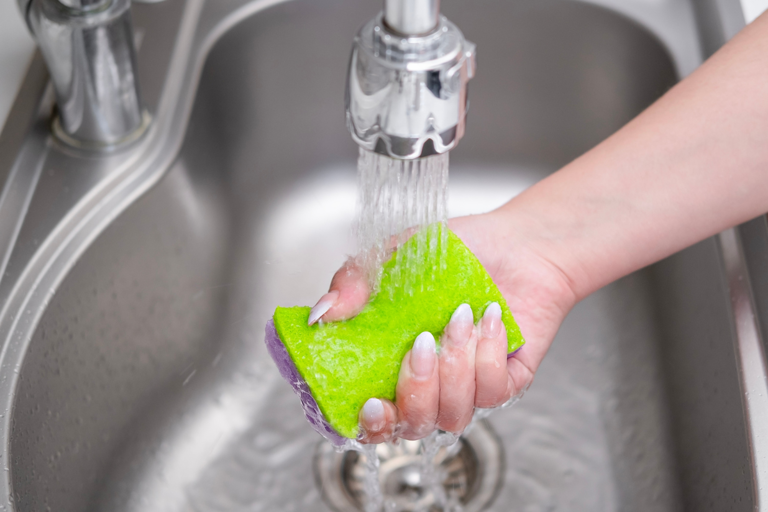 How often should you really replace your kitchen sponge?