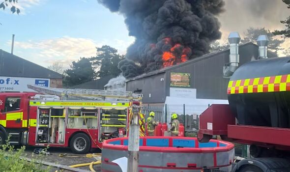 Horror fire at The Jungle Box mini-zoo as all animals inside building ...