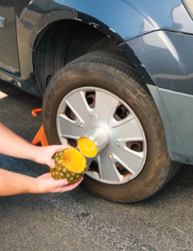 Unique pineapple crafting project