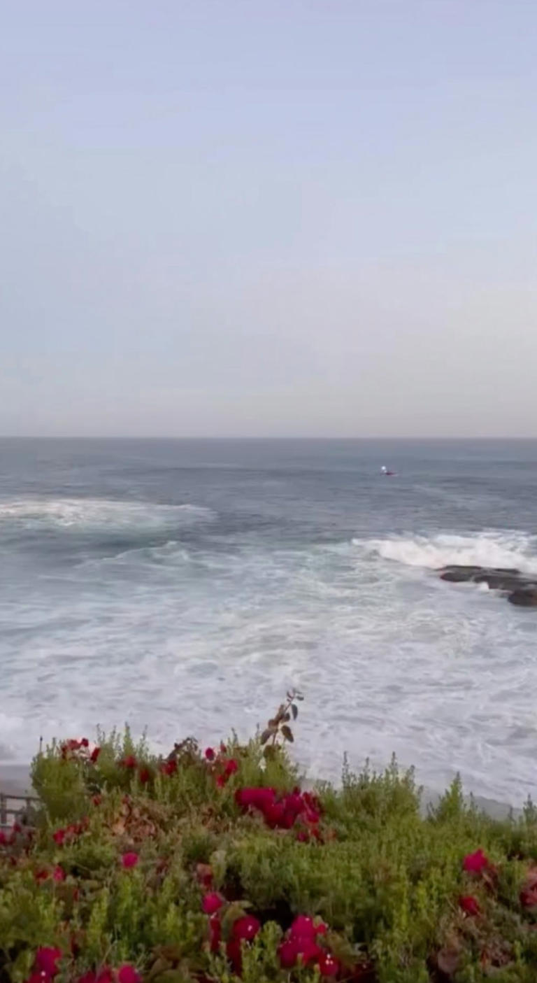 Desperate search for girl after monster wave sweeps her away from her ...
