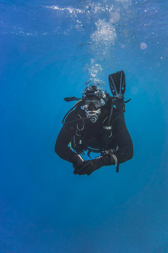 48 diving experiences people still remember years later