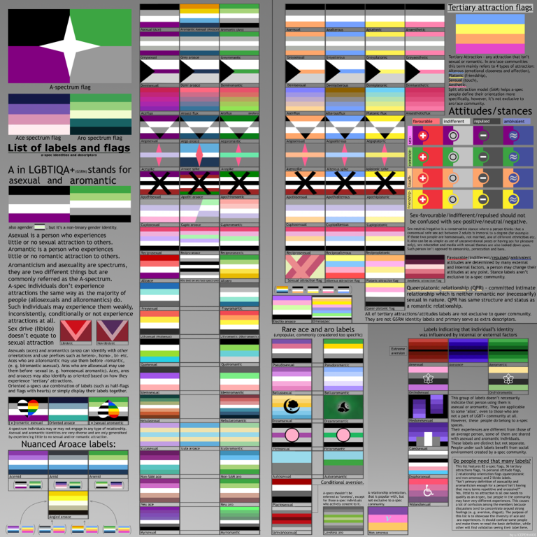 Why do LGBTQ+ people love flags so much? The answer is complicated.