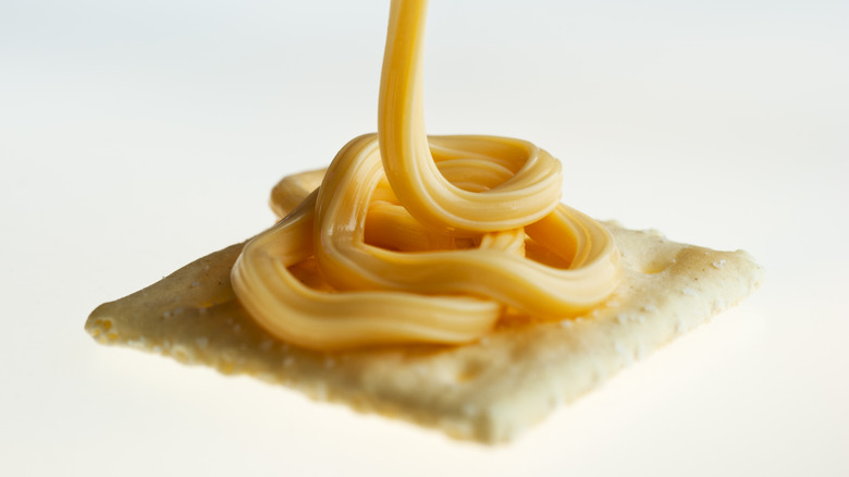 11 facts you should know about canned cheese