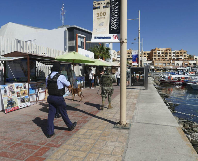 The energy and security in Los Cabos will change starting tomorrow for ...