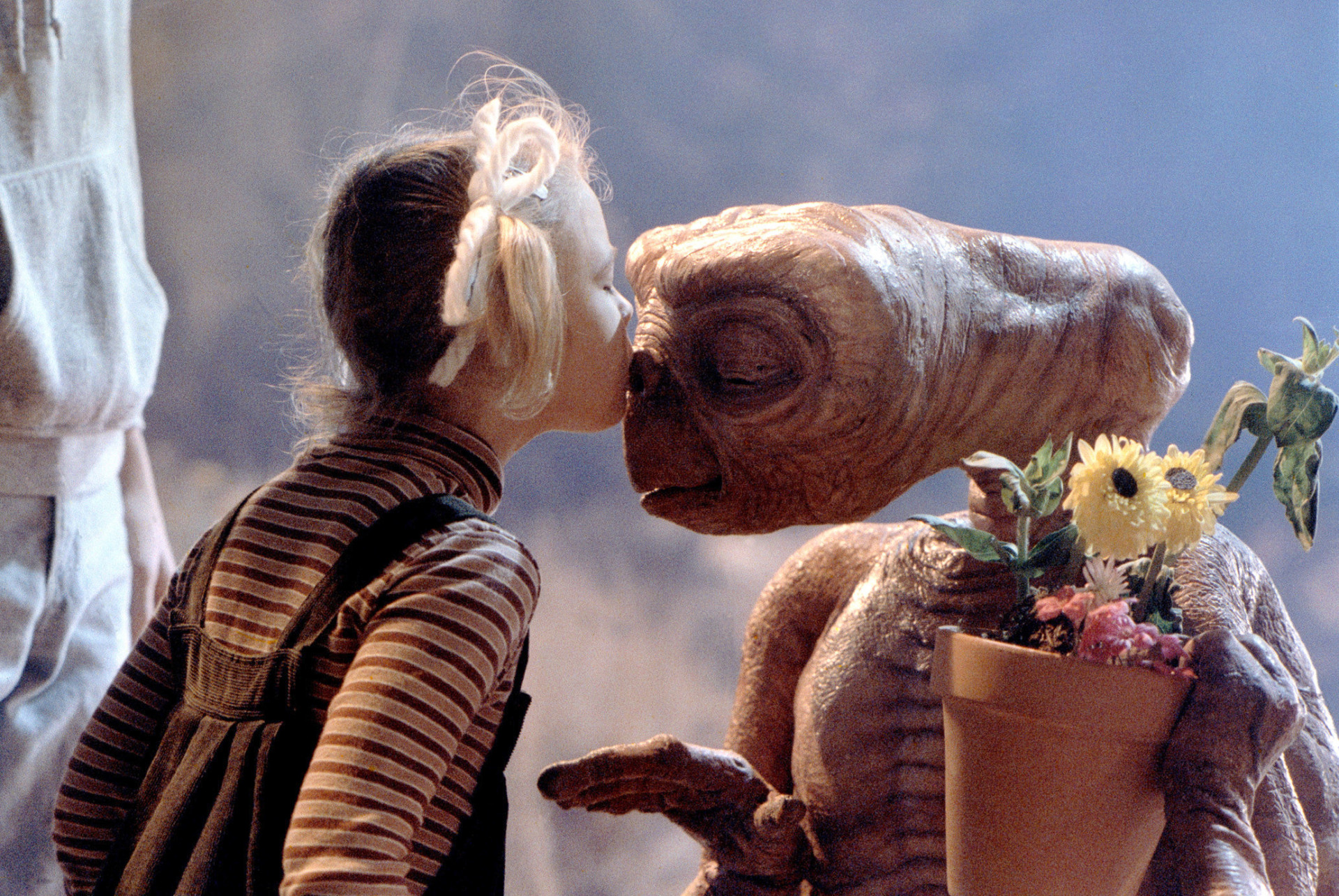 The most beloved non-human characters in film and TV