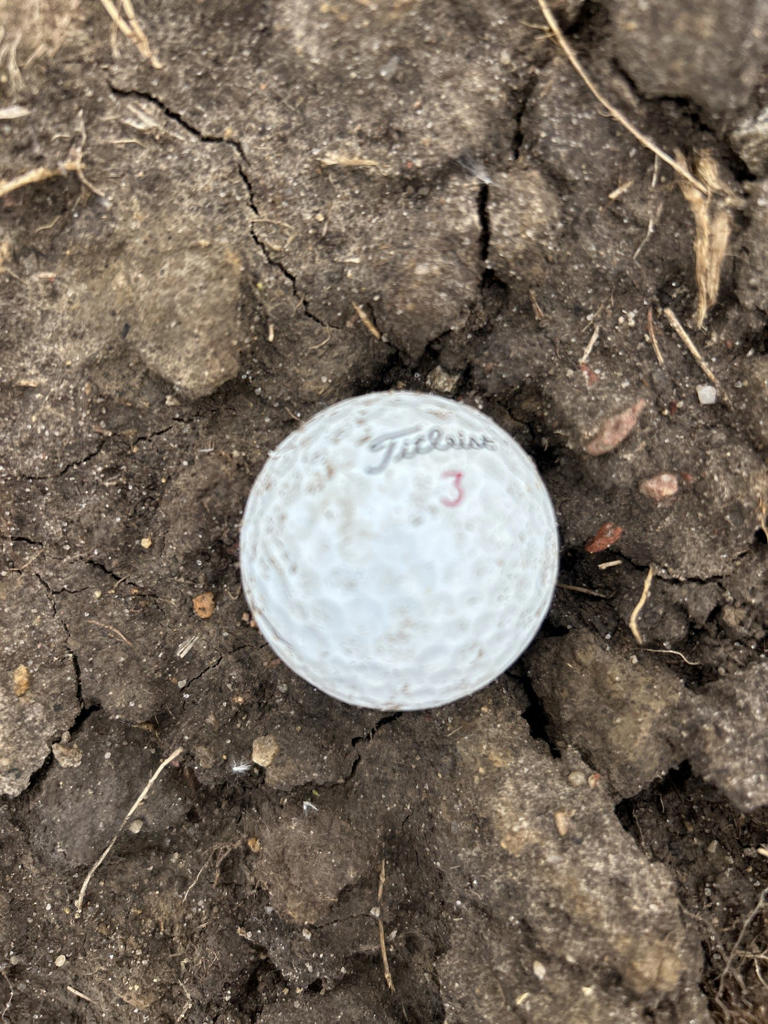 University of Iowa's Finkbine Golf Course is getting an $11 million ...