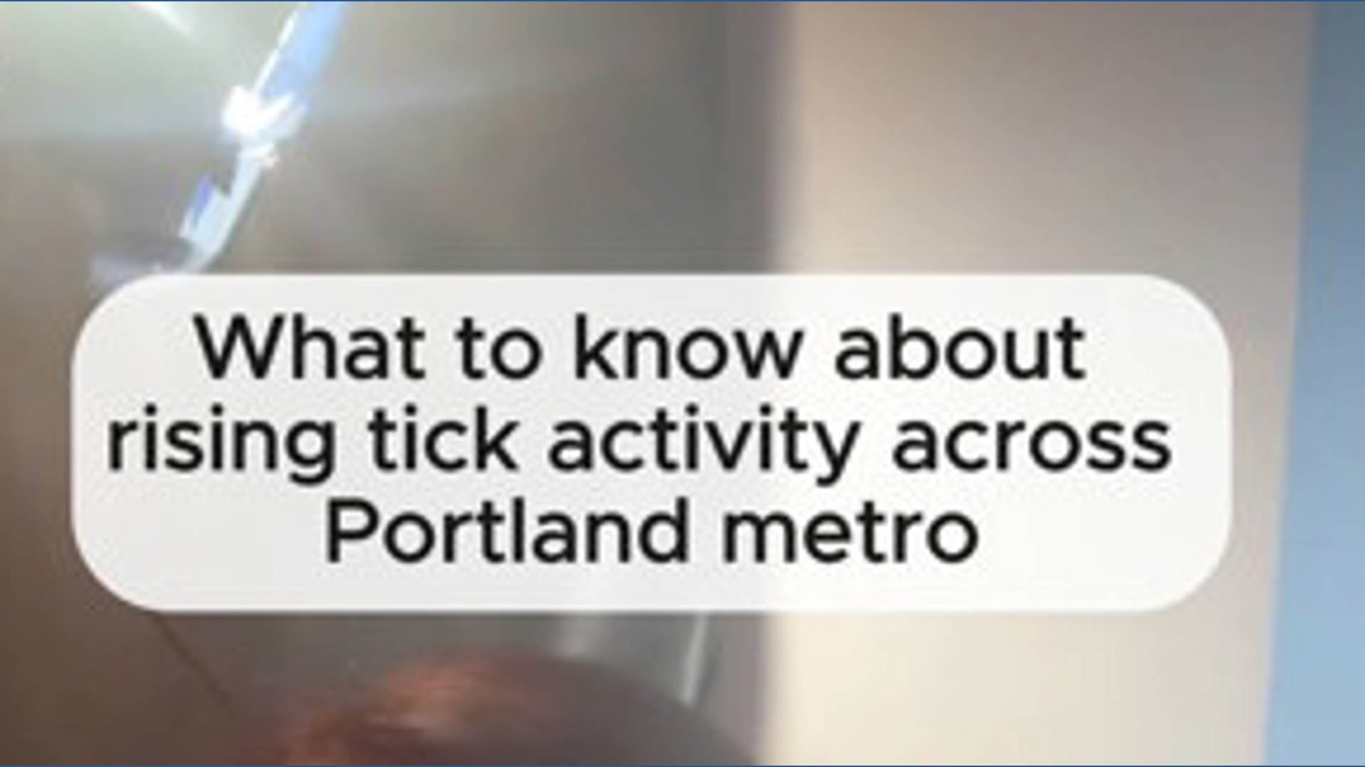 Here's what to know about rising tick activity across Portland metro