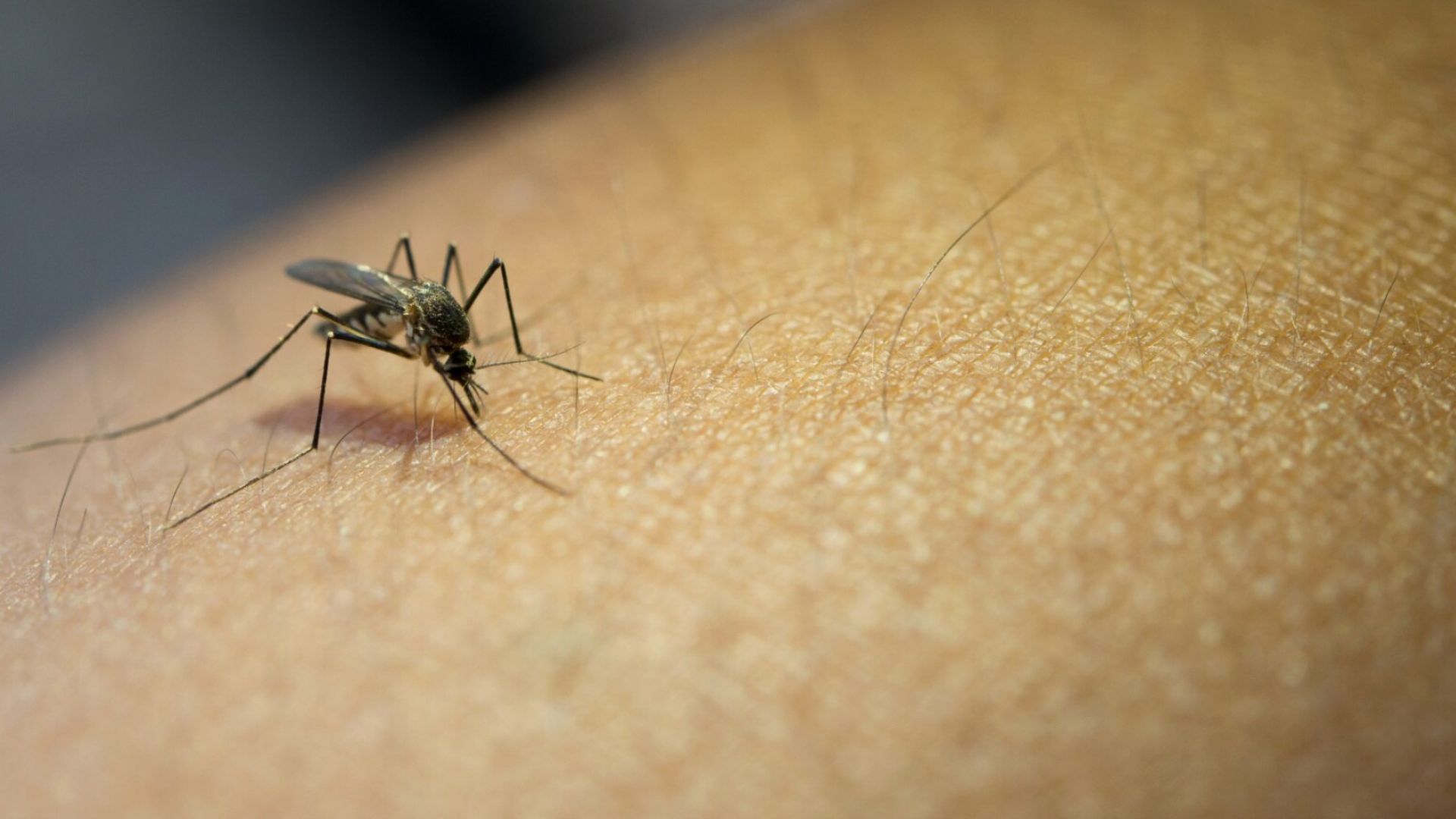 NEA reports increase in dengue cases, with eight active clusters across ...