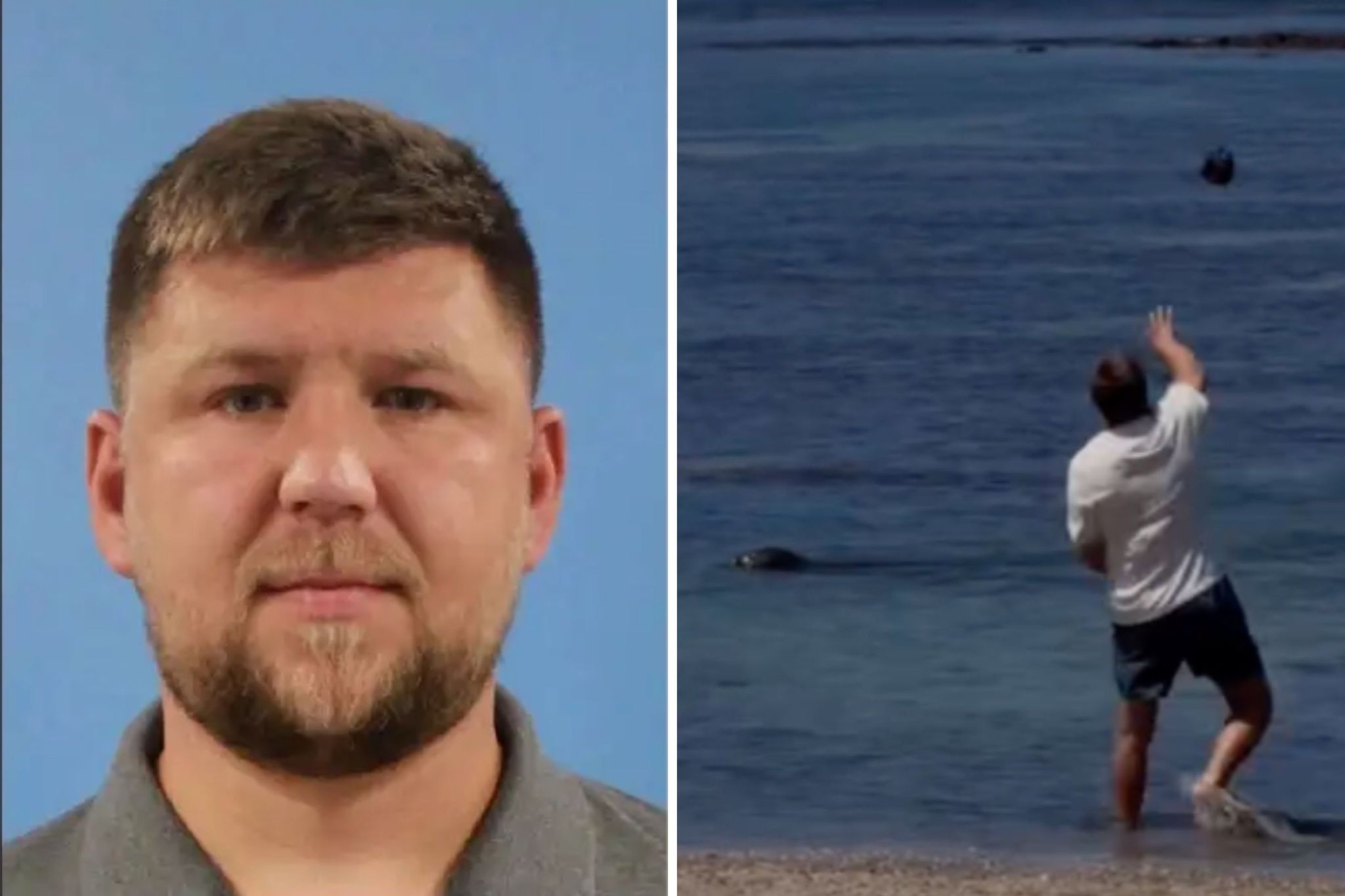 Hawaii tourist in monk seal rock-throwing case given timeline