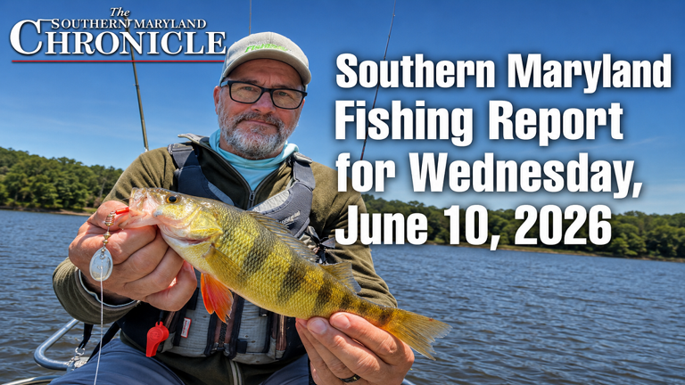 Mackerel, bluefish and cobia reported in local waters