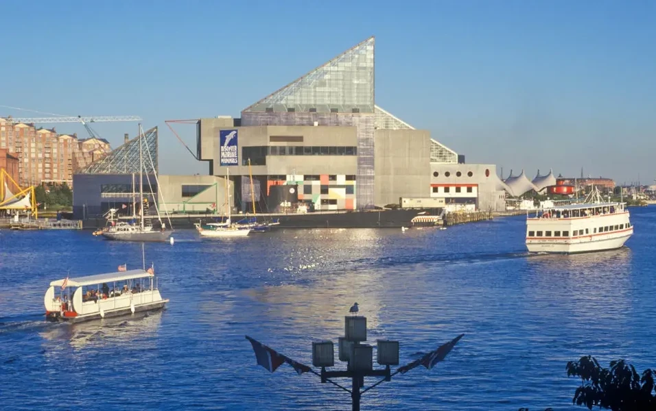 National Aquarium in Baltimore named to top US list