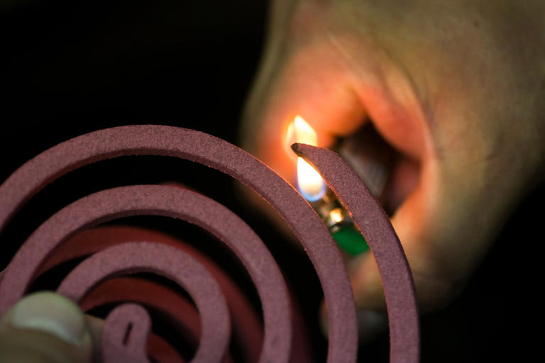 French brand mocked for mosquito coil-like ‘incense spiral’ for £39
