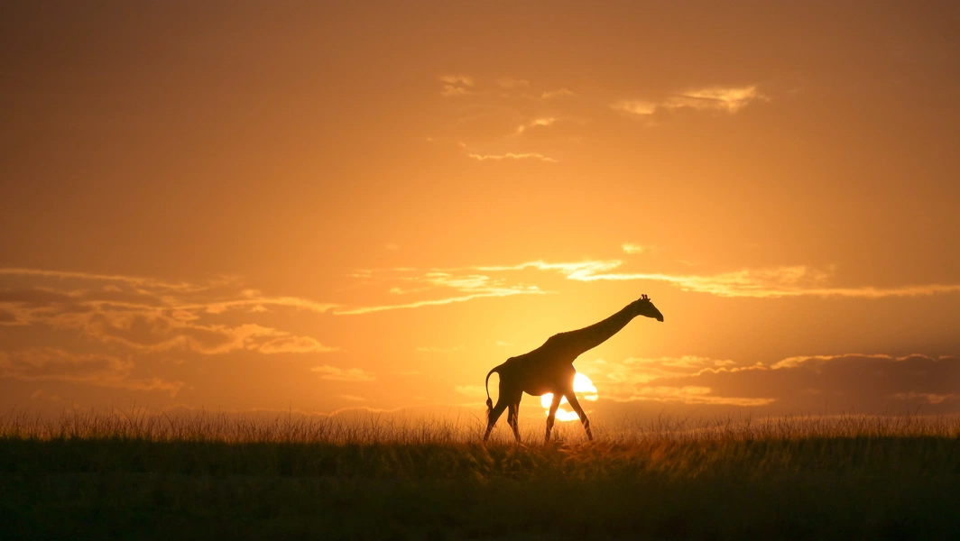 19 unforgettable travel experiences for 2026