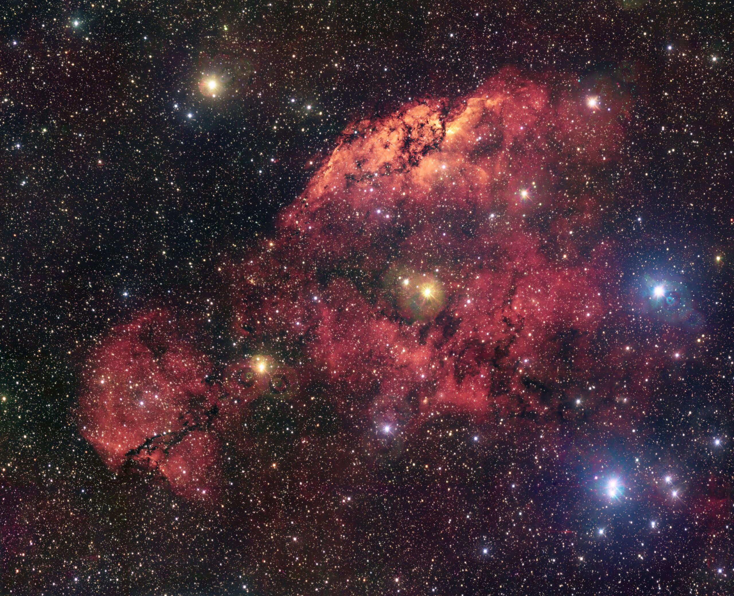 Dragon head or pecking chicken? Cosmic image revealed
