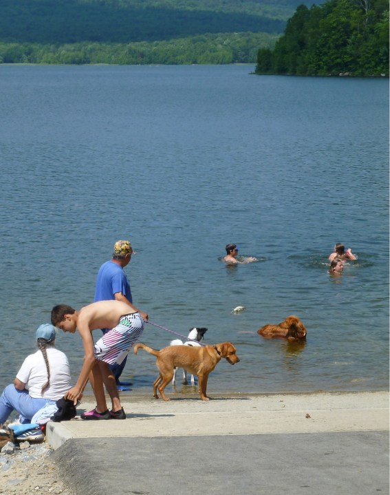VT Fish & Wildlife: Swimming, fires not allowed in fishing access areas