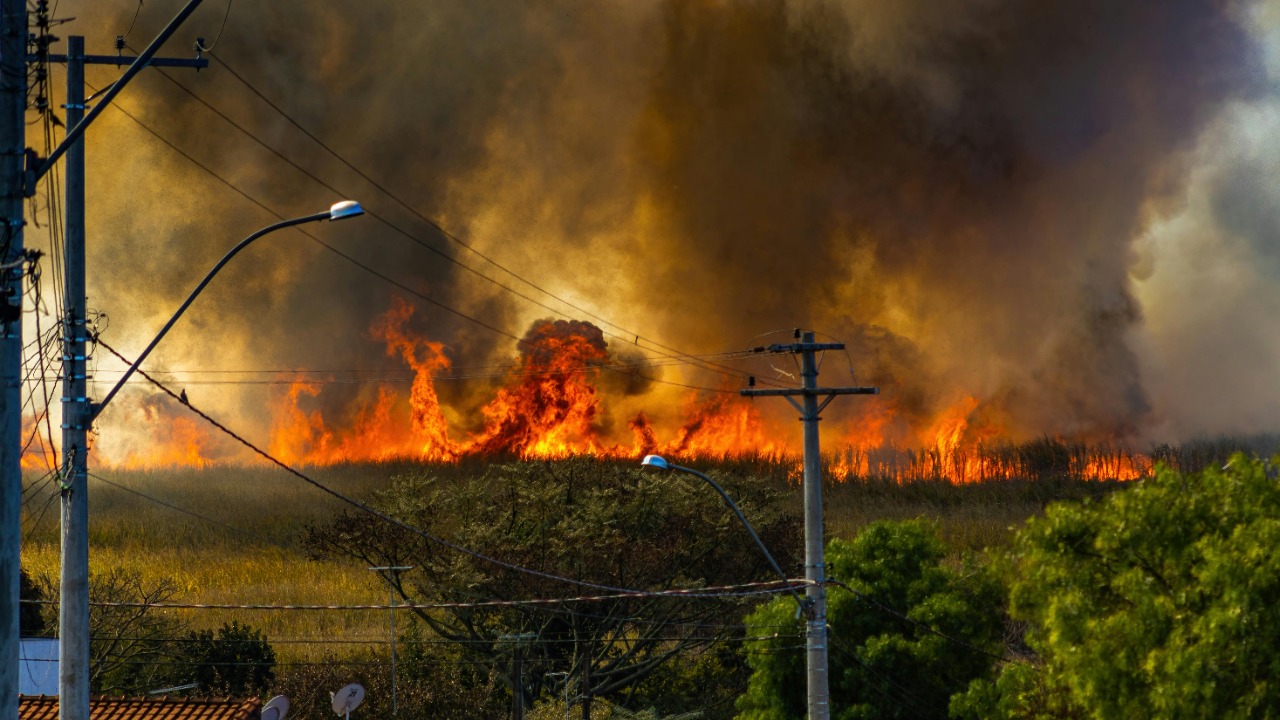 A rare large wildfire scorched 2,500 acres of New York’s Pine Barrens ...